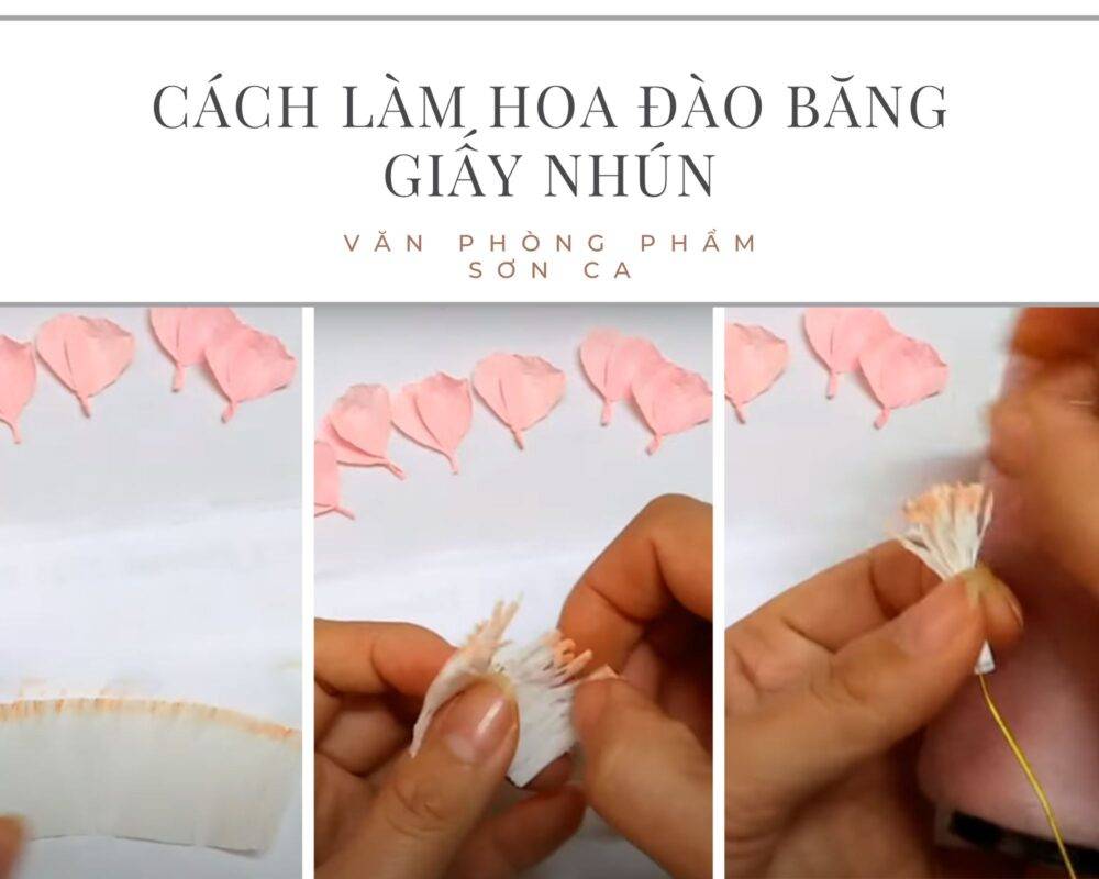 Cách làm hoa đào bằng giấy đơn giản - Văn phòng phẩm Sơn Ca