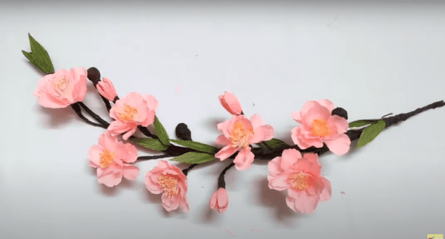 Cách làm hoa đào bằng giấy đơn giản - Văn phòng phẩm Sơn Ca